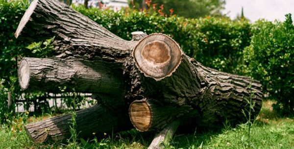 Tuinafval - Container Service